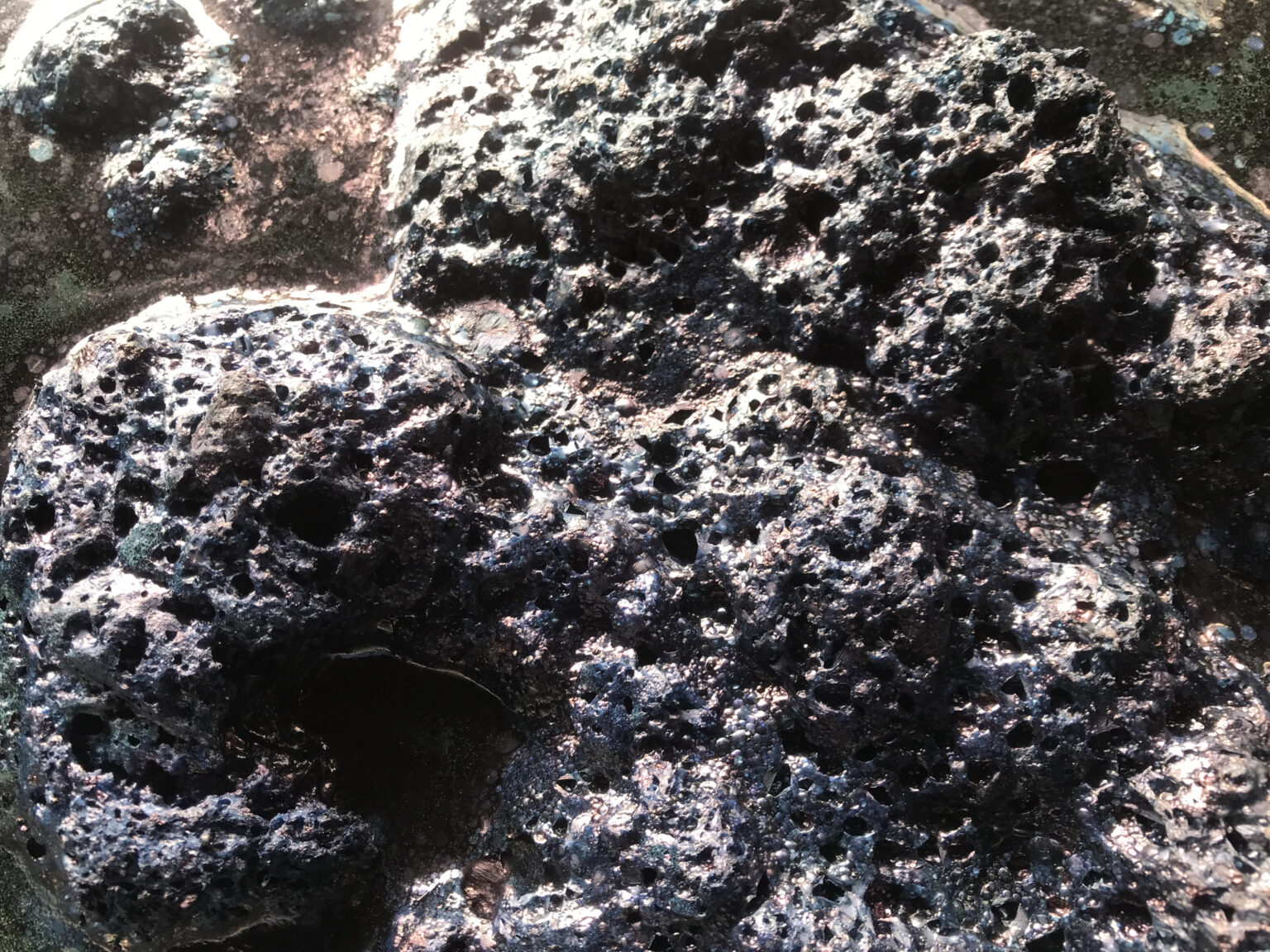 インディゴ・インジゴ（indigo）とは？天然のインディゴと化学的なインディゴについて | iroai.jp